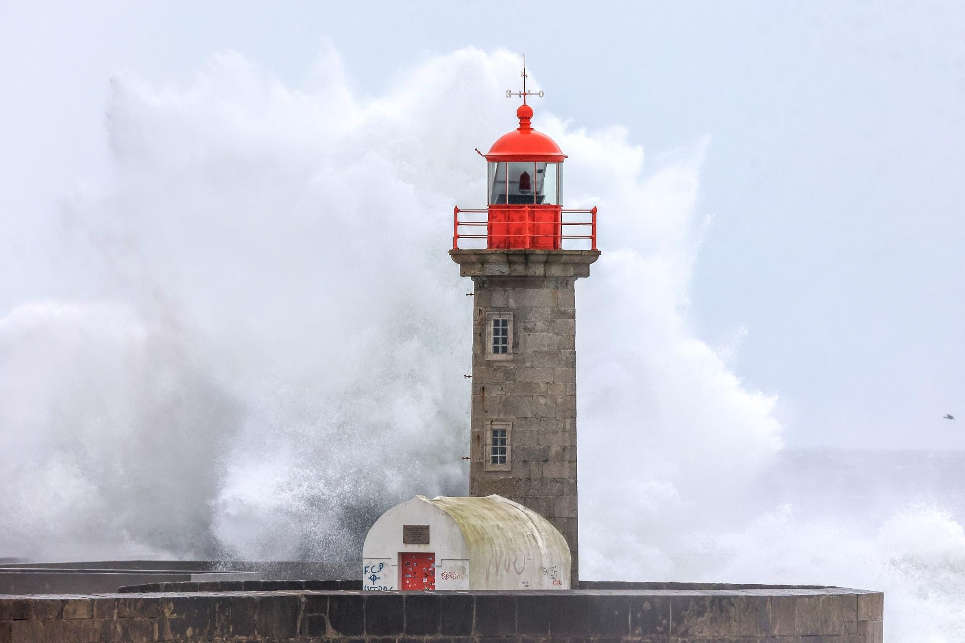 Constrangimentos nos portos de Lisboa, Setúbal, Sines e Leixões devido ...
