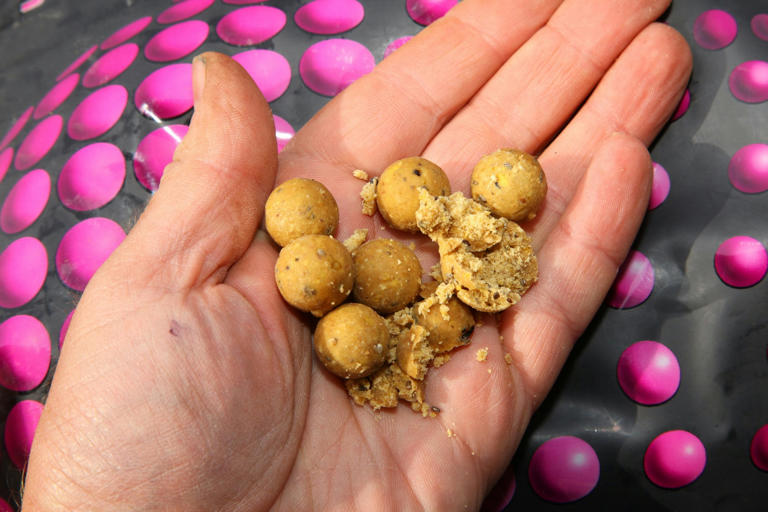 10 Forgotten carp fishing tactics you need to give another try!
