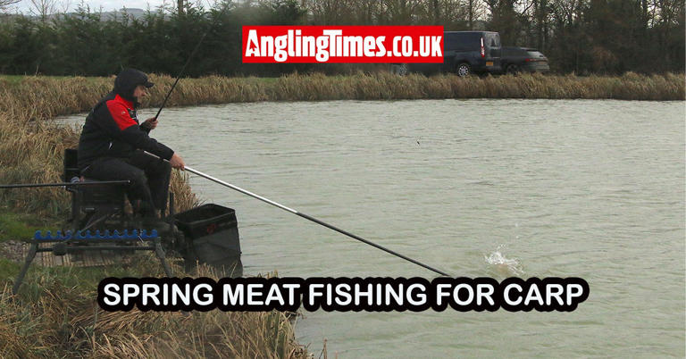 Try fishing with meat early for commercial carp | Pemb Wrighting