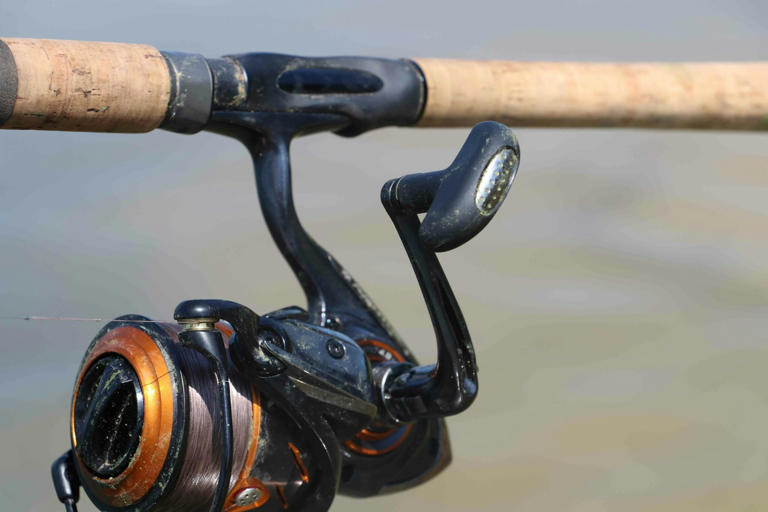 How to choose the right fishing reel | Steve Ringer