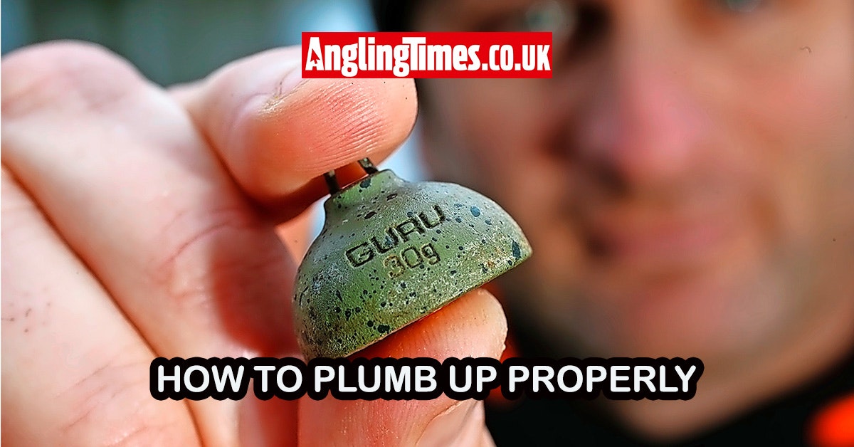 How to plumb up properly when pole fishing