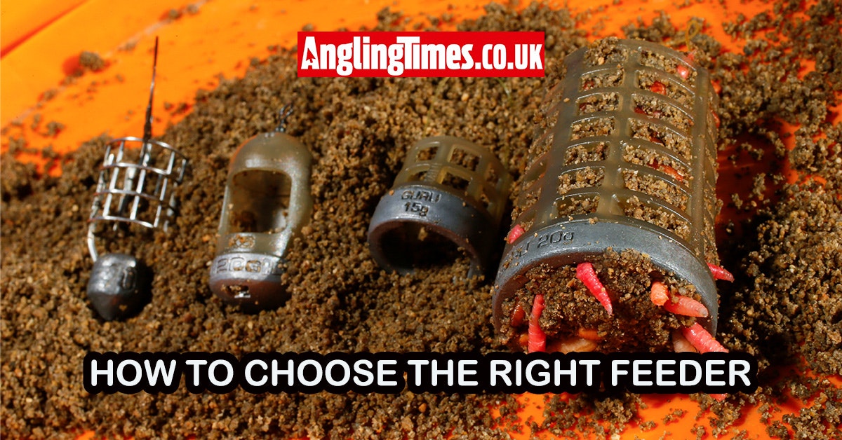 How to choose the right feeder