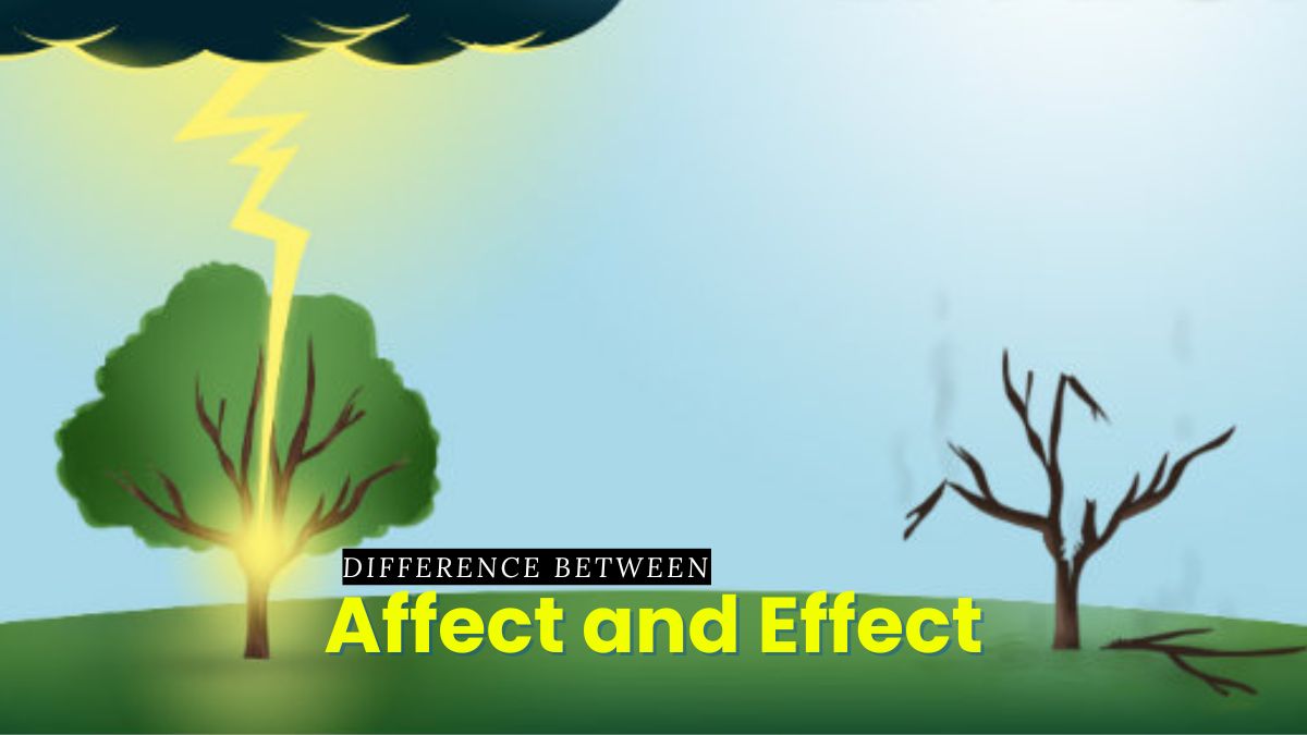 Difference Between Affect and Effect