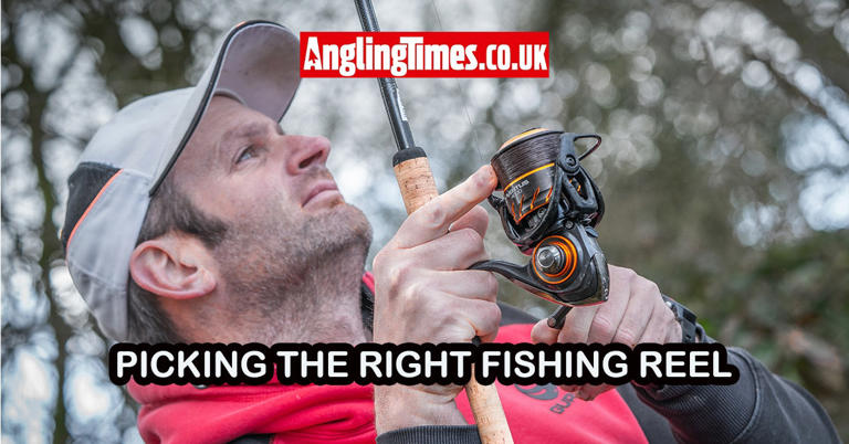 How to choose the right fishing reel | Steve Ringer