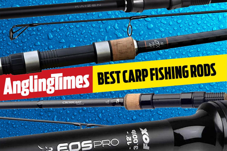 The best carp rods