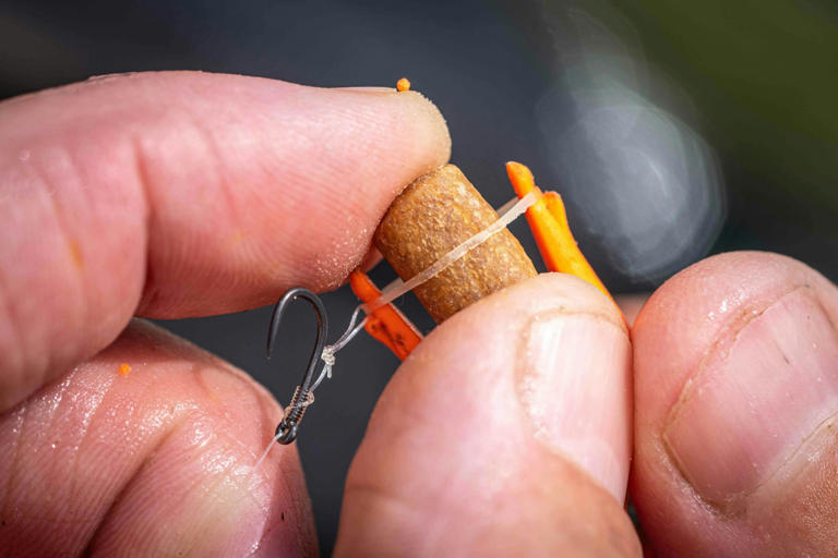 Choose the right hair rig every time | Steve Ringer