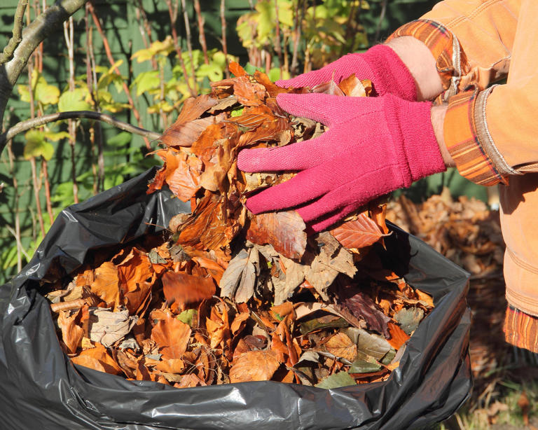 Different Types Of Composting Explained: Find The Best Method For Your Lifestyle & Budget