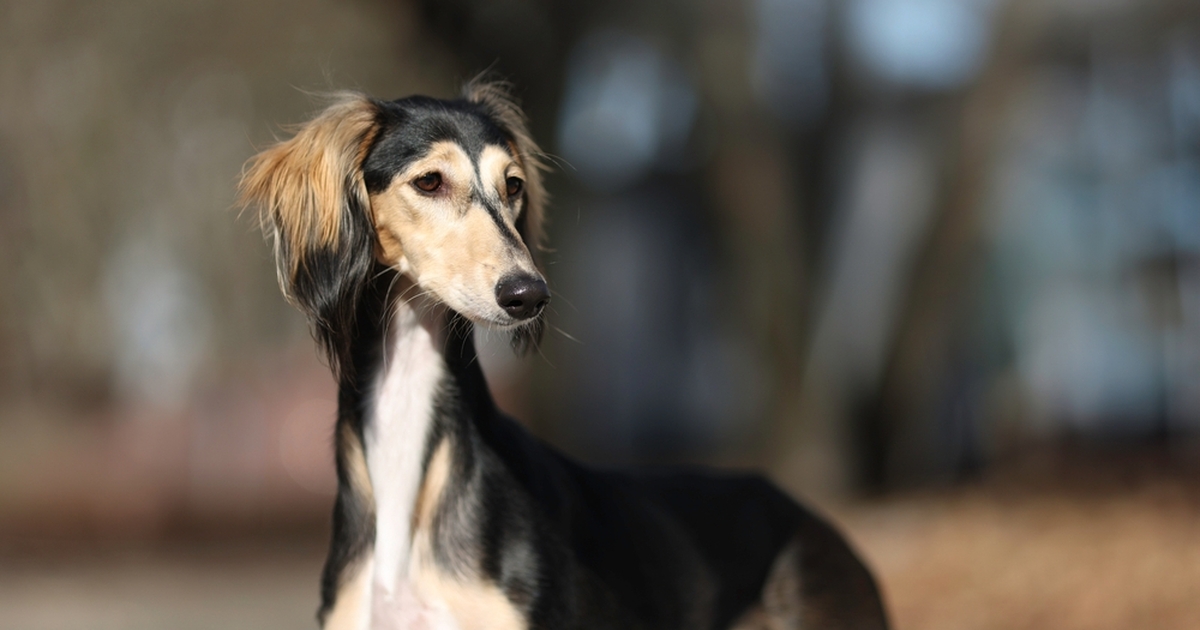 Like Having Money in Your Pocket? Then You Might Want to Avoid These 13 ...