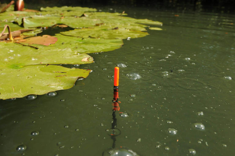 10 Forgotten carp fishing tactics you need to give another try!