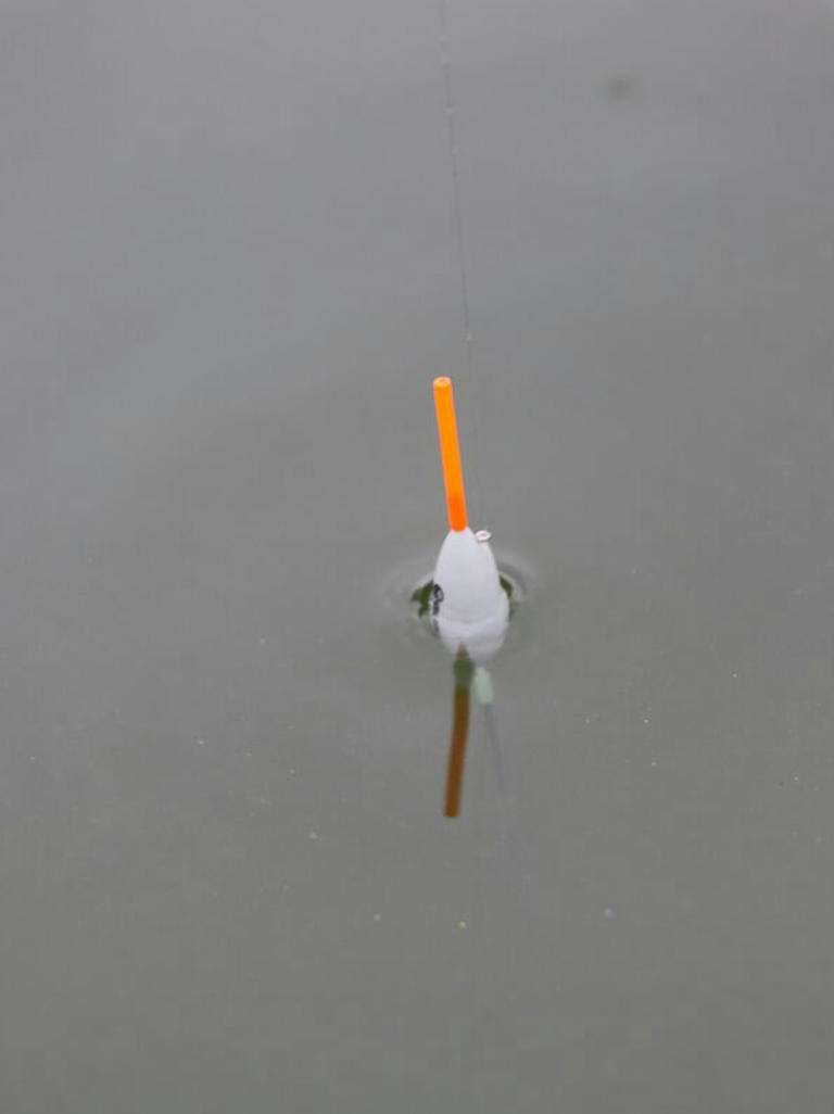 How to plumb up properly when pole fishing