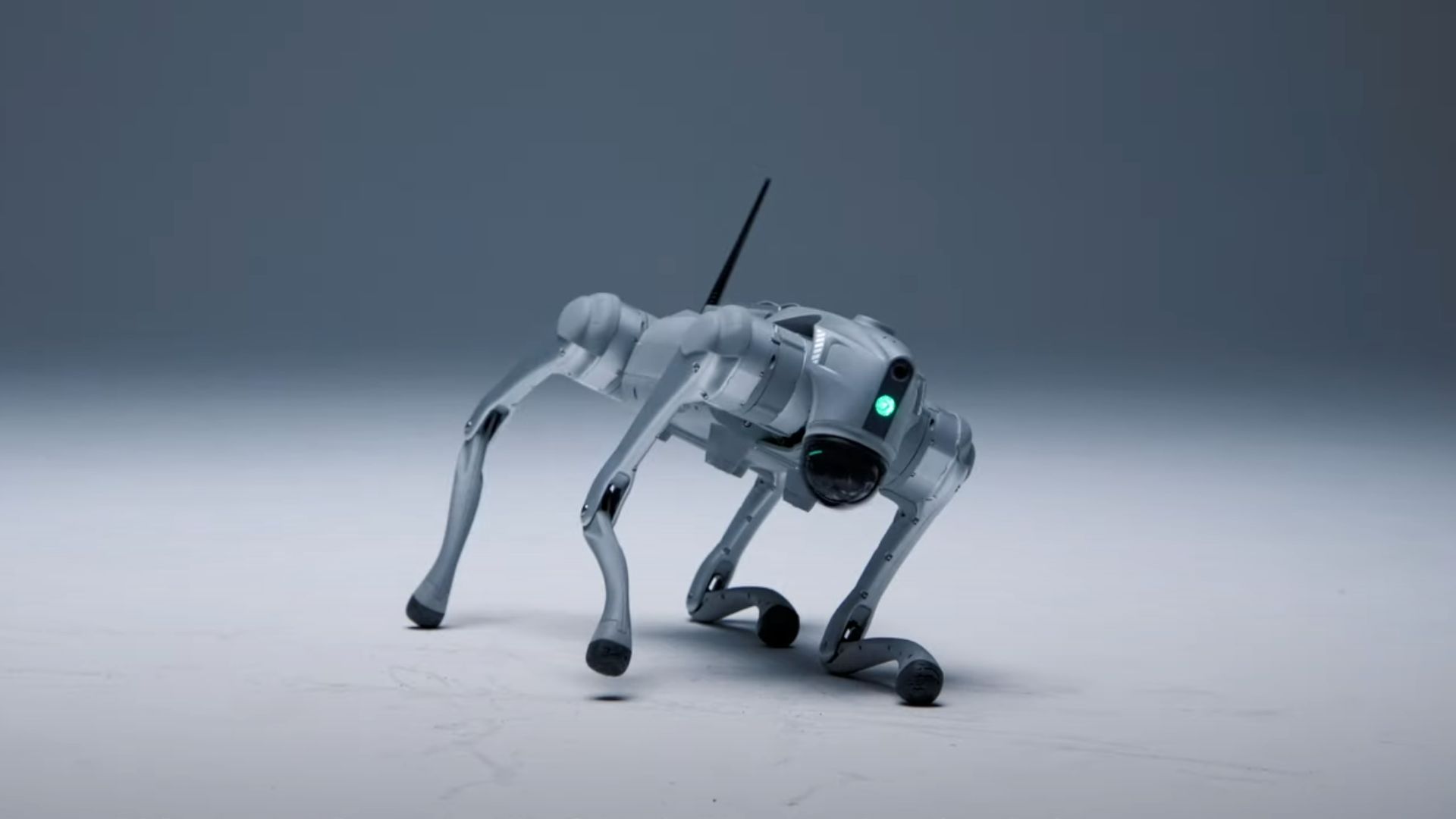 Luna: Swedish firm’s robot dog learns like humans with ‘natural ...