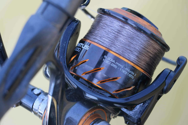 How to choose the right fishing reel | Steve Ringer