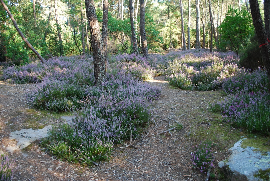 The Mystery of Weather Patterns That Even Scientists Cannot Explain