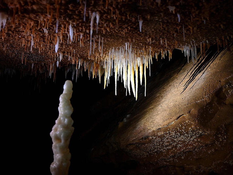 Photos: Rarely seen cave art holds prehistoric secrets in France