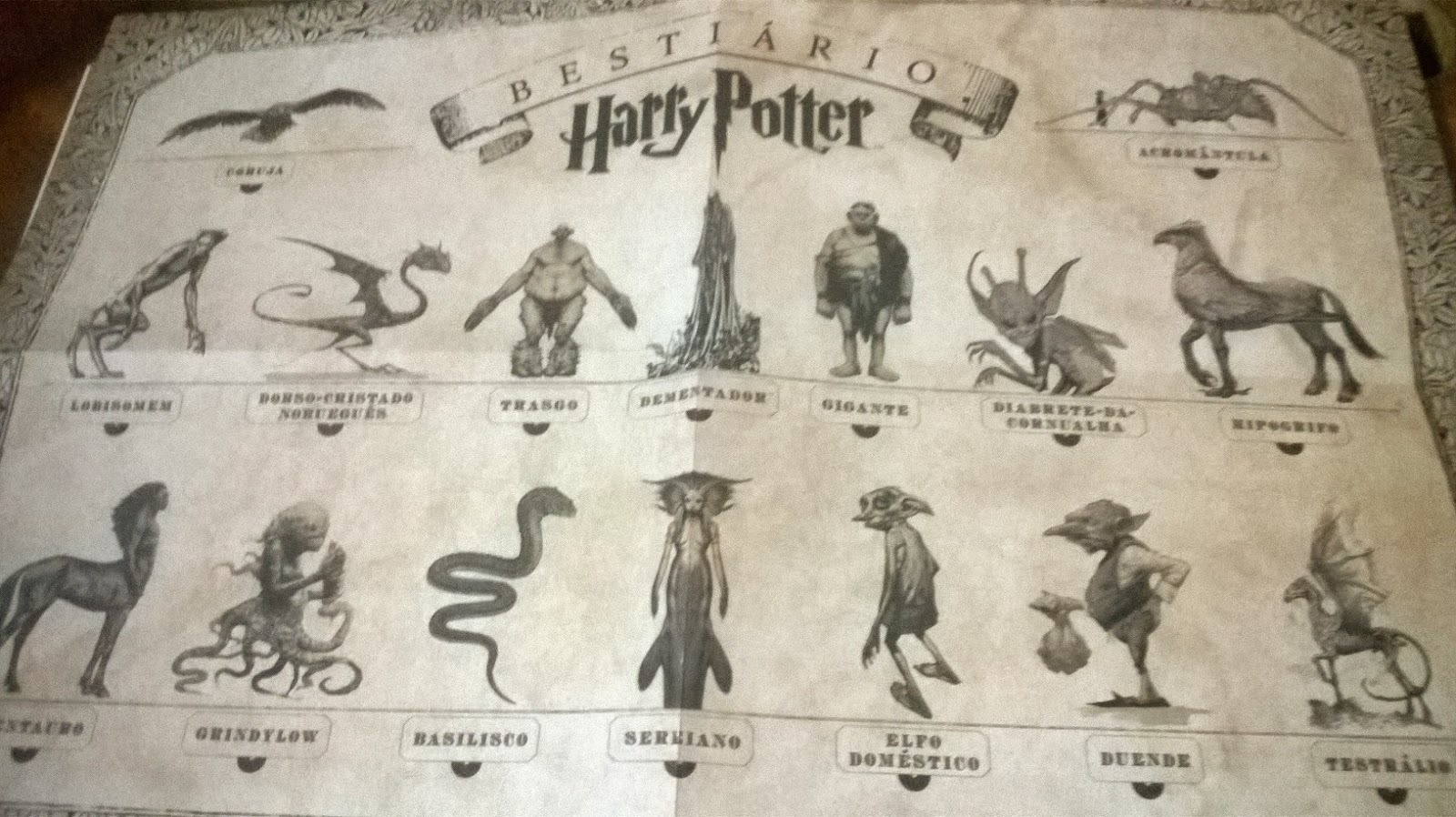 Animais que se destacam na saga de Harry Potter