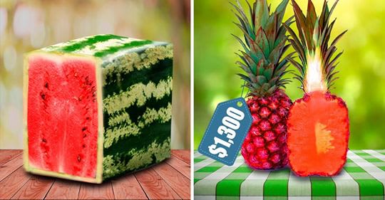 5 most expensive fruits in the world and why they cost so much
