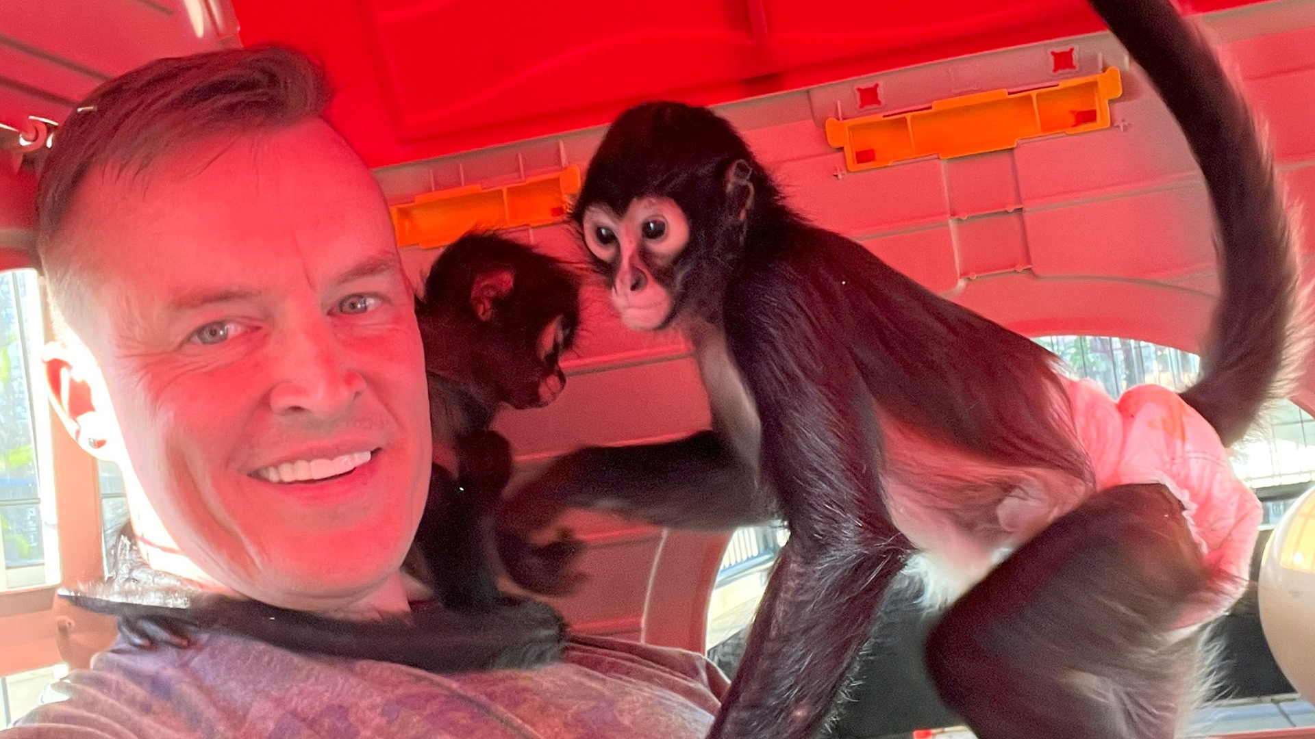 Meet the monkey who befriended a dog and loves cuddling and watching TV