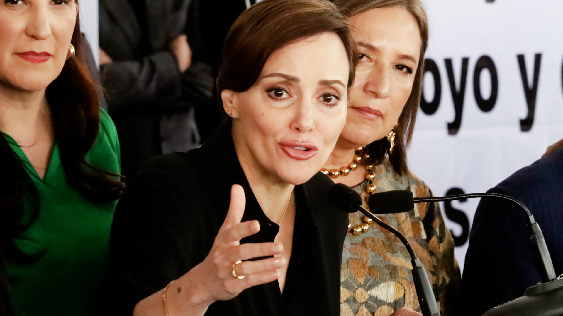 Senadora mexicana del PAN Lilly Téllez pidió ayuda a Elon Musk por ...