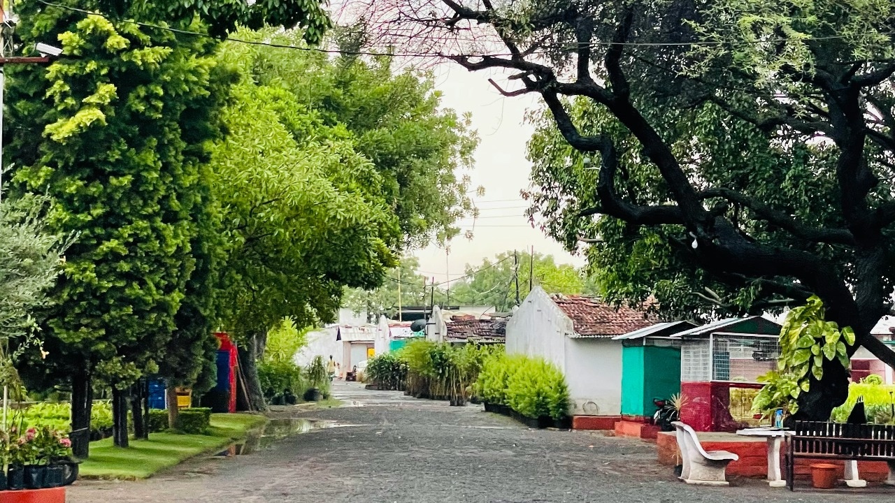 Indore to set up India's first public-private green waste processing plant