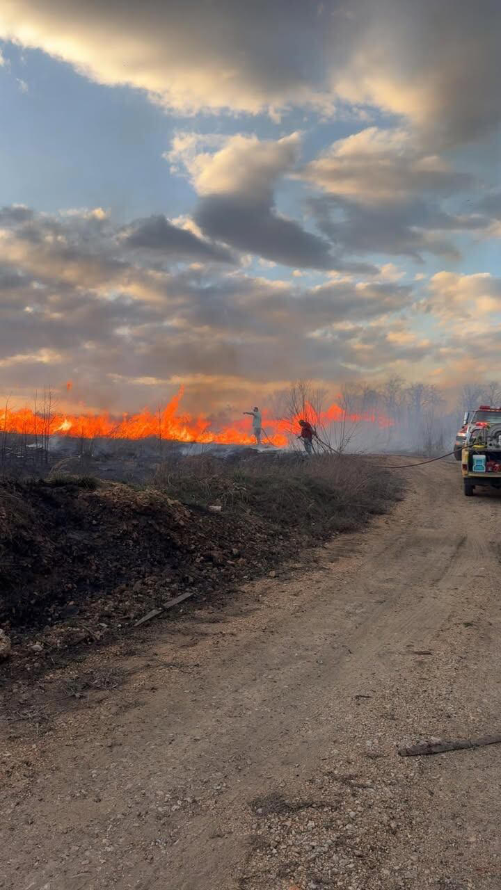Fire contained at Royal Oak charcoal plant in Ellsinore; crews ...