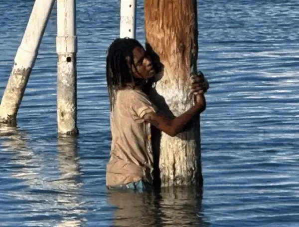 Tampa Boot Thief’s Mangrove Escape Foiled After Hours-Long Manhunt In ...