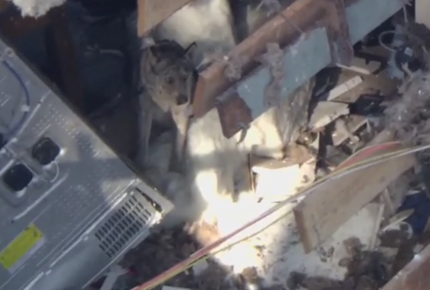 "This house is essentially a bomb," ATF says of Pacoima explosion site ...