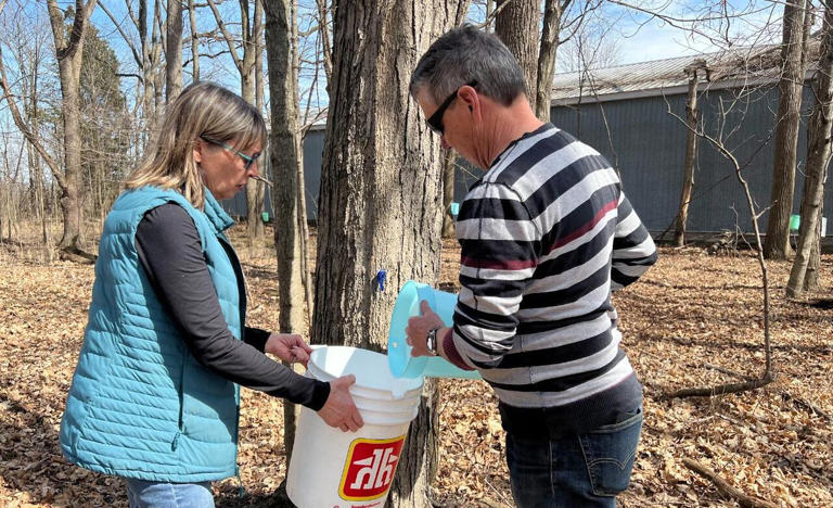 Walnut syrup: How an Ontario couple is tapping into a different sweet treat