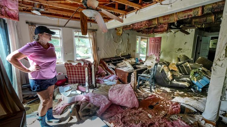 Helene's historic wrath: $214M in NC timber damage, $83 in SC