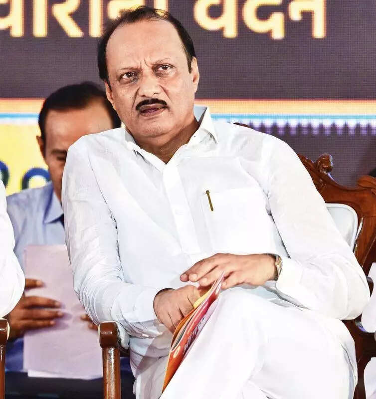 Council nod for amnesty bill for PSUs’ tax dues