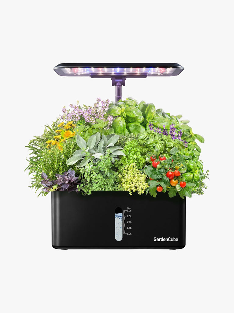 The Best Indoor Garden System for Every Space