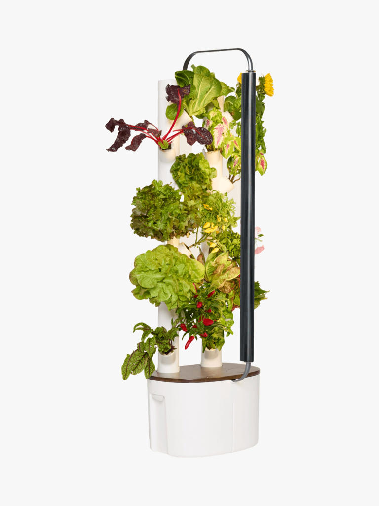 The Best Indoor Garden System for Every Space