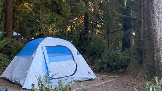 Washington State Parks expands same-day camping reservations