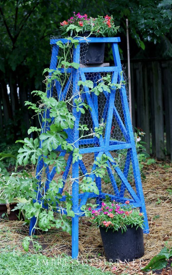 40 Smart Trellis Ideas to Take Your Garden to New Heights