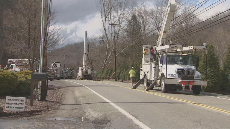 Hundreds without power after tree falls on power lines in Moon Township