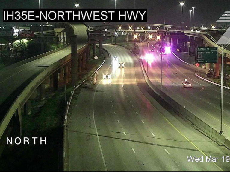 Woman runs into incoming traffic to save her dog, both hit and killed ...