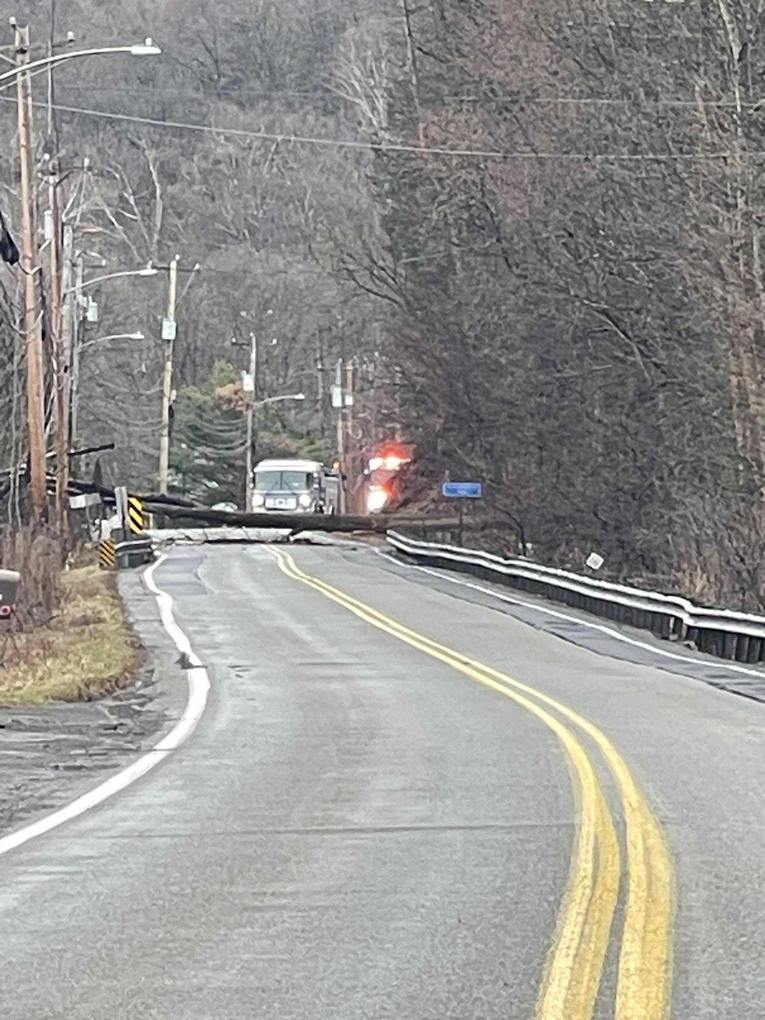 Hundreds without power after tree knocks down power lines in Allegheny ...
