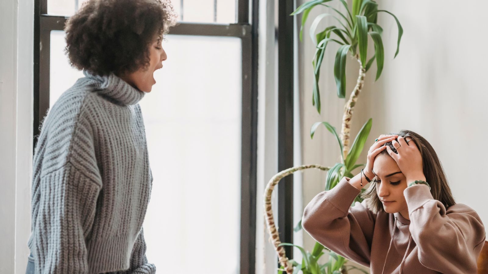 Climate disasters, war, and health crises: the most resilient countries ...