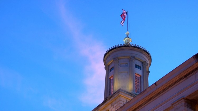 TN lawmakers propose barring the sale of guns to people recently ...