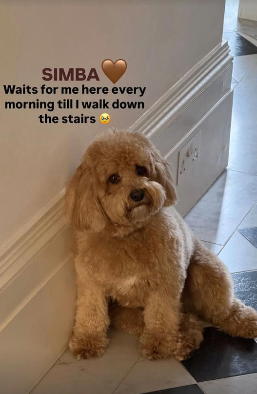 David Beckham's clever move with 'aesthetic' family additions