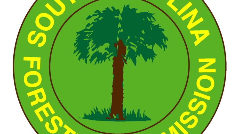 SC Forestry Commission issues statewide red flag fire alert