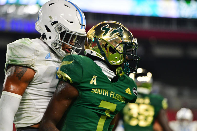 Michigan football offers prolific 6-foot-5 WR Sincere Brown from FCS ...