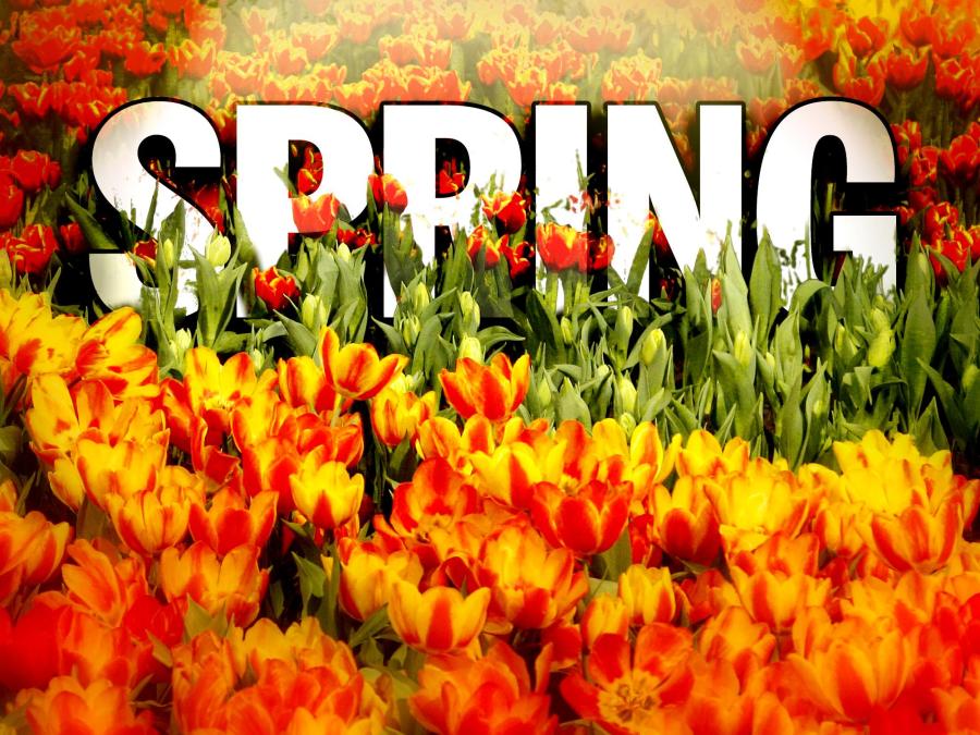 What is the spring equinox and how does it different from ...