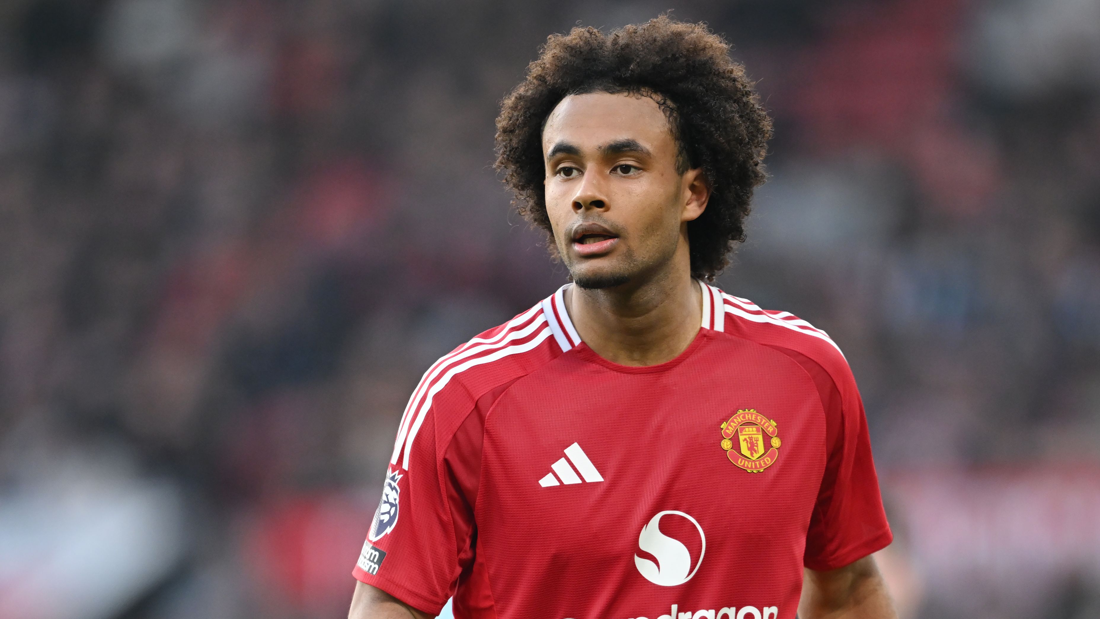 Joshua Zirkzee 'makes it clear'! Man Utd striker picks ideal next club ...