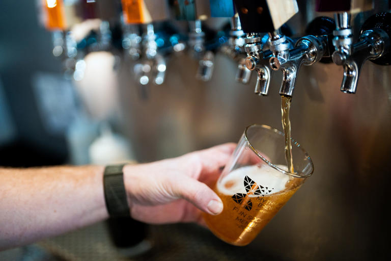 The best beer in Fort Collins? Vote in this 64-brew bracket to help the ...