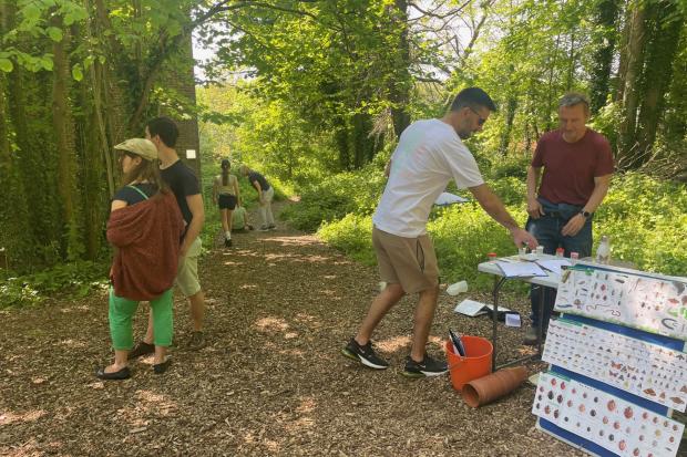 Festival celebrating beauty and value of trees launches 2025 programme