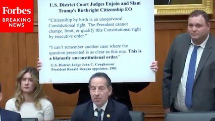 Jamie Raskin Quotes Republican And Democrat-Appointed Judges In Defense ...
