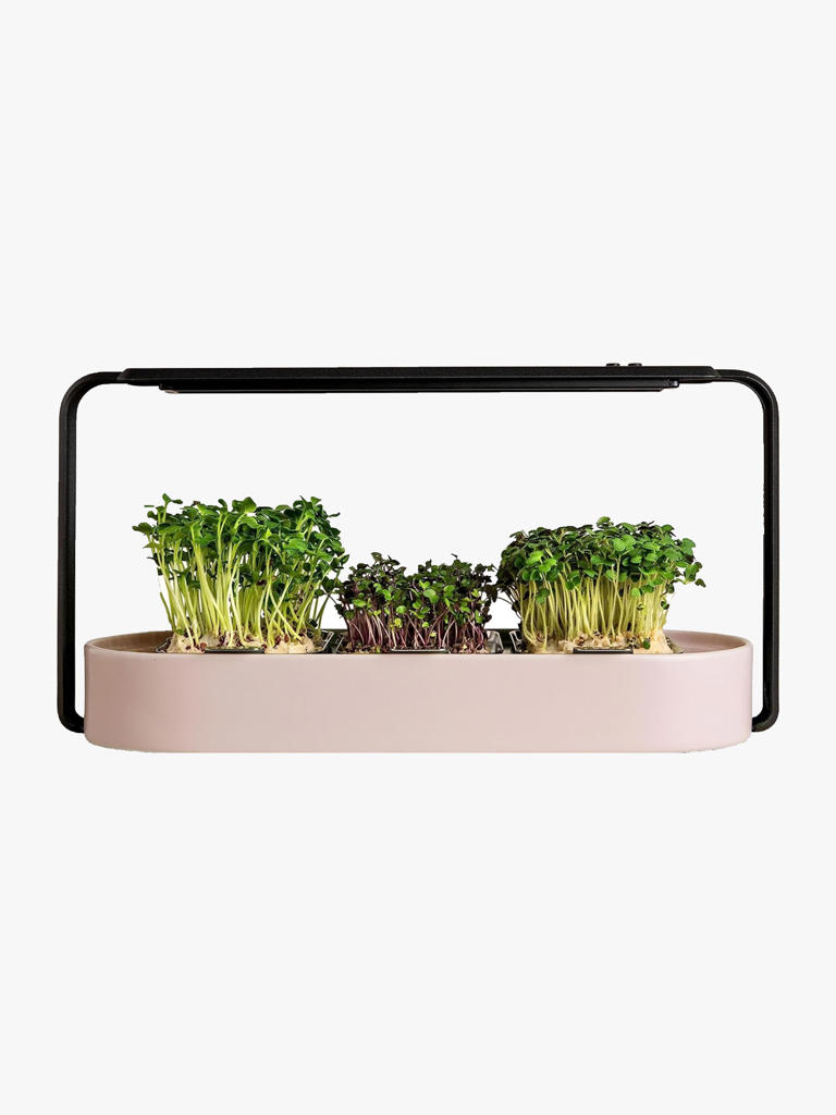 The Best Indoor Garden System for Every Space