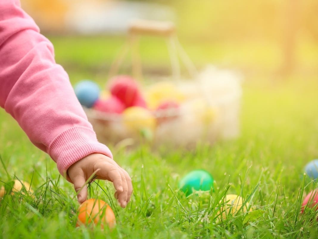 Rotary Club Of Healdsburg To Host Annual Easter Egg Scramble