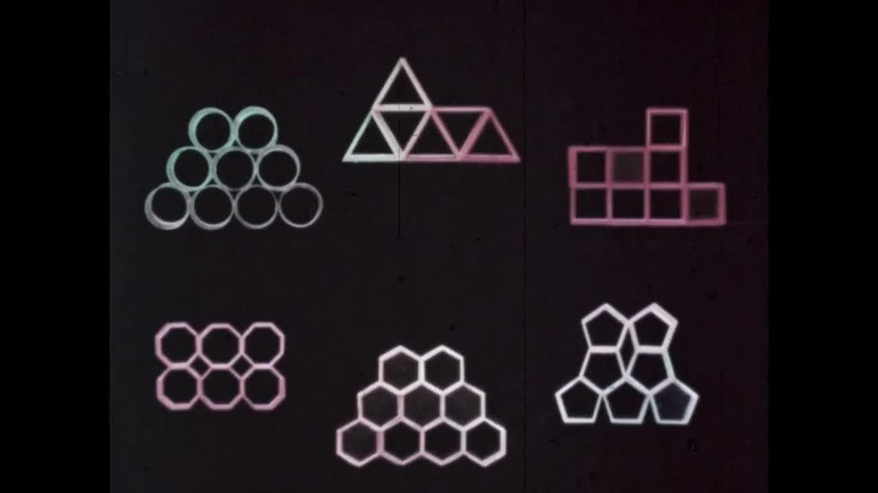 Honeybee Hive: Life Cycle, Nurse Bees & Honey Production