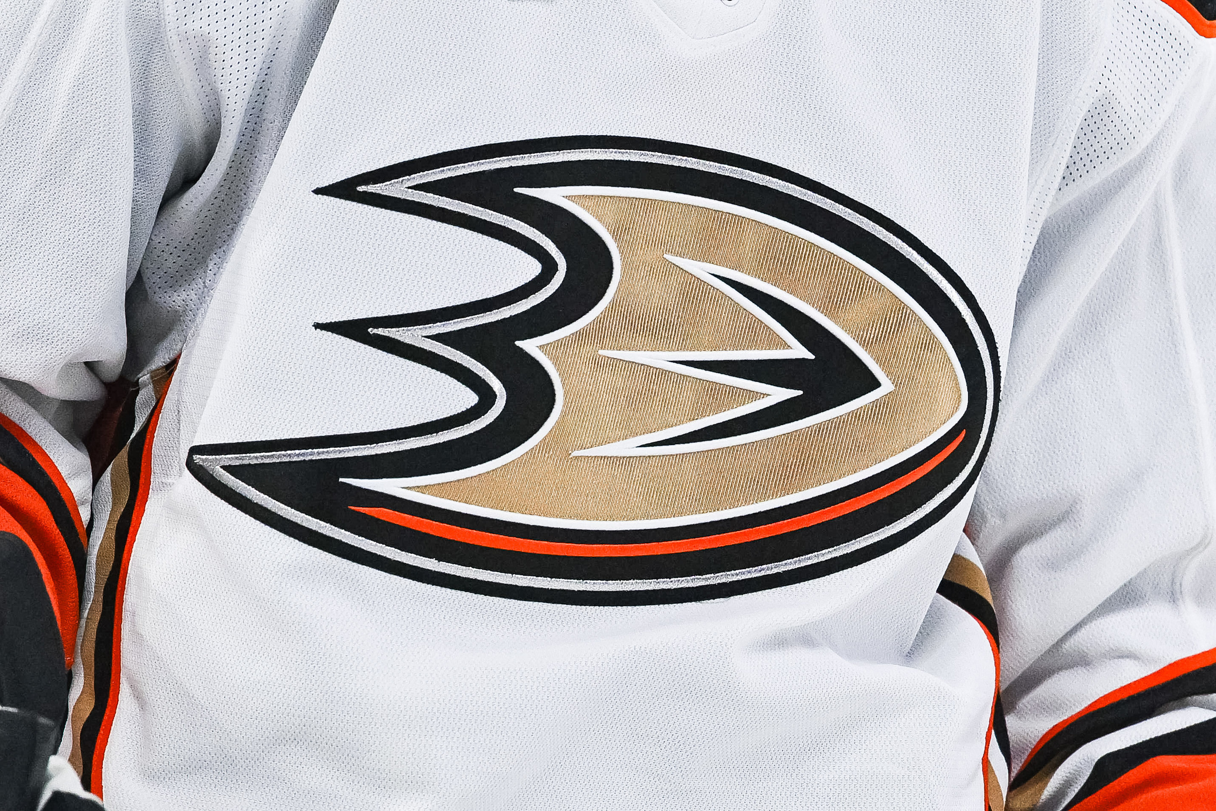 Ducks defense prospect signs amateur tryout with AHL team